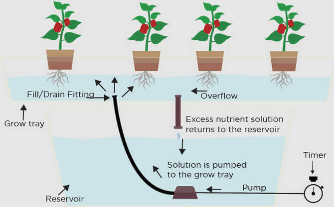 Basic types of automated hydroponic systems – choose the best ...
