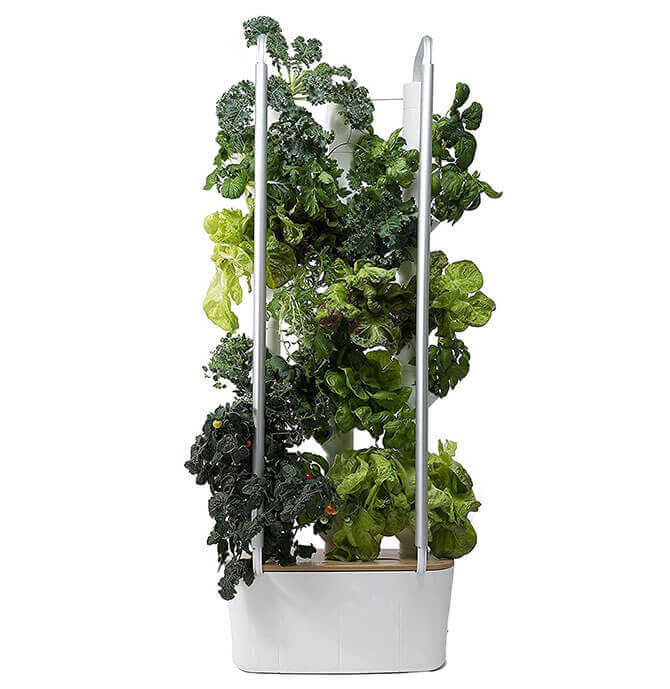 Best indoor grow system - how to grow indoors hydroponically