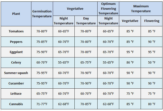 How to control the temperature in the greenhouse – ways to create an ...