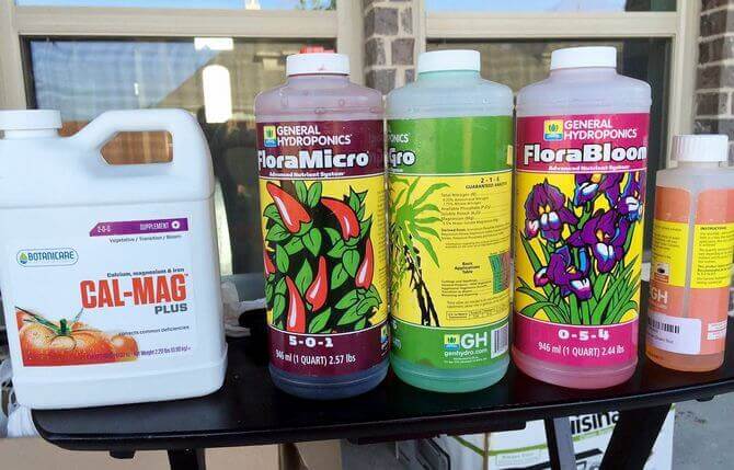 How to make your own hydroponic system – recommendations for beginners ...