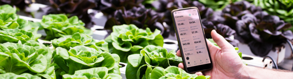 2025 Guide. How To Choose Greenhouse Climate Controllers