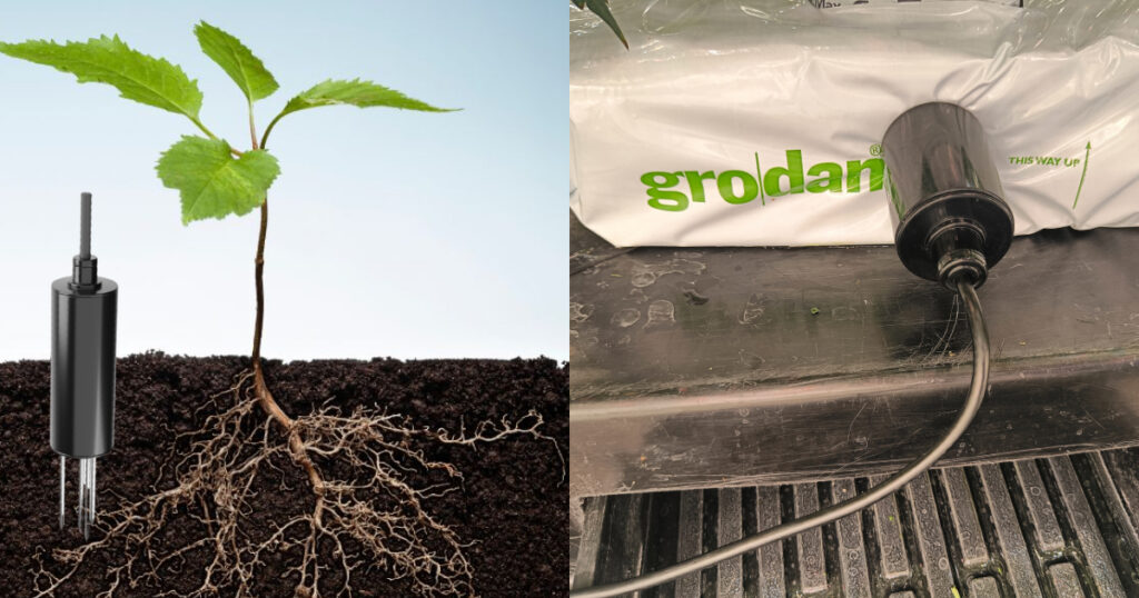 Soil Moisture Sensors: A Practical Guide 2025 for Greenhouses
